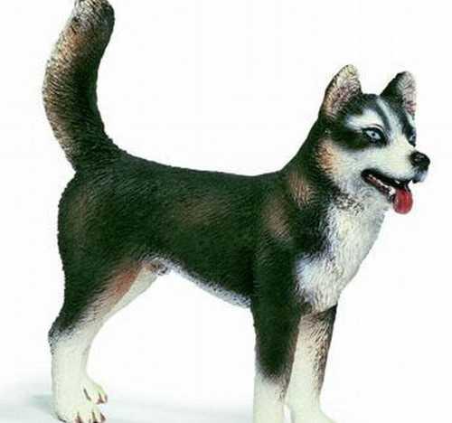 Фигурка хаски schleich