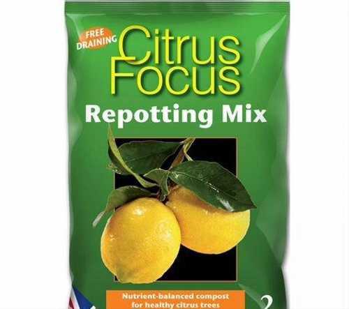Citrus Focus Repotting Mix 2л