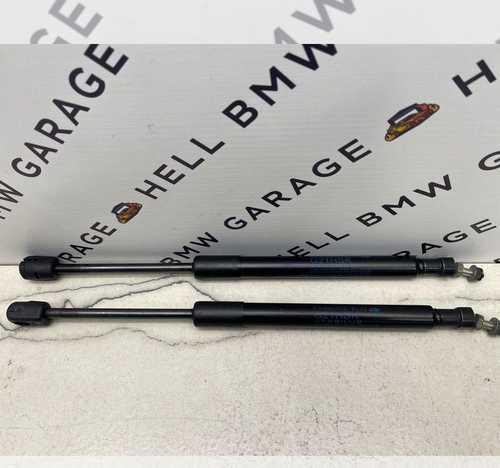 Амортизаторы багажника Bmw G21