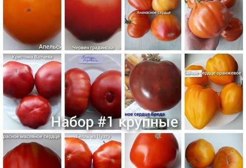 Семена томатов и перца наборы