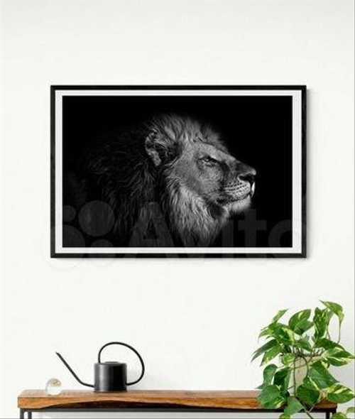 Плакат "Просто Постер" Грозный лев 40x50 в раме