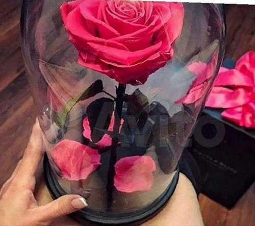 Роза в колбе