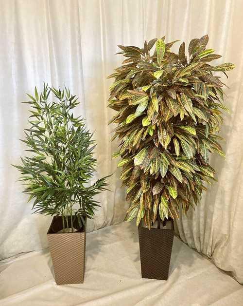 Кротон Респект искусственный- растение для дома