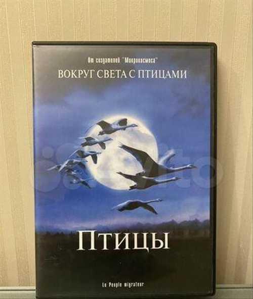 DVD диск «птицы»