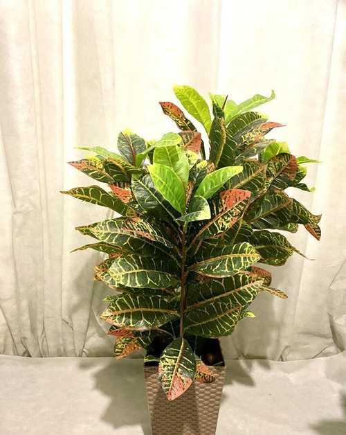 Кротон Mini искусственный - растение для дома