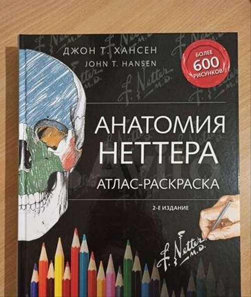 Рисунок неттера 3093