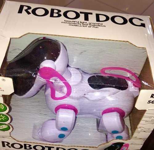 Собака робот