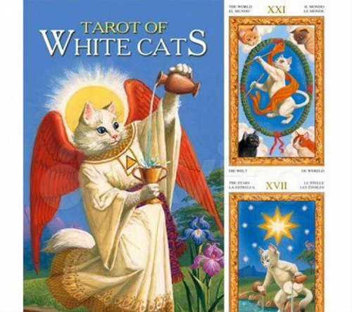 Таро Белых кошек Tarot of white cats