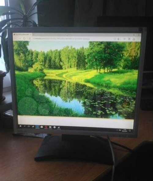 Монитор BenQ FP93QS Q9T5 19"