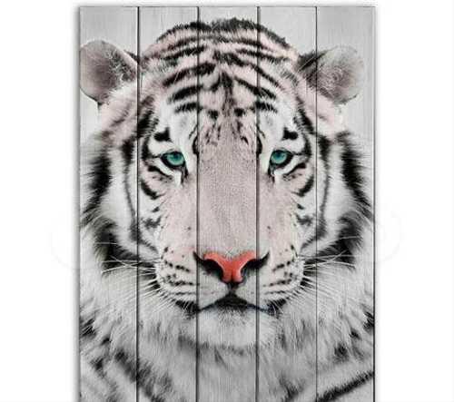 Белый тигр (выбор размера-40 х 60 см)