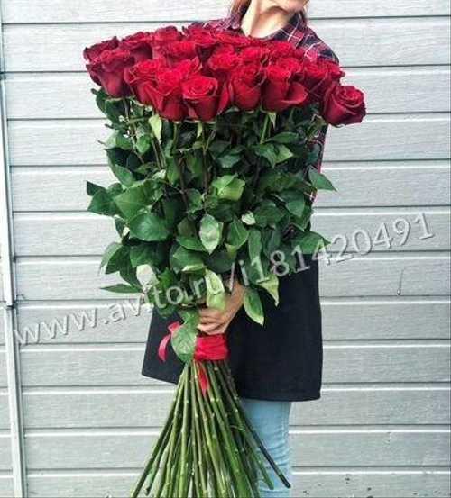 Метровые розы розы 1 метр