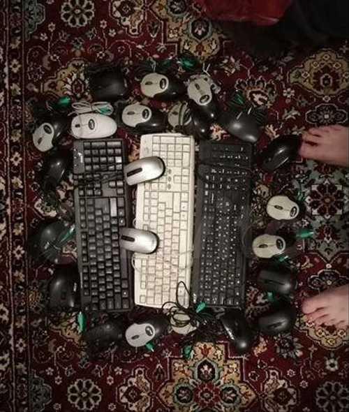 Клавиатура компьютерные мышки