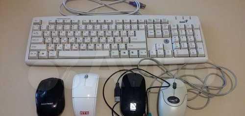 Клавиатура и мыши компьютерные