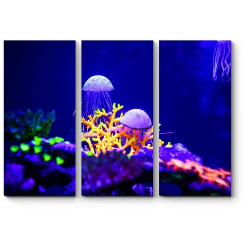 Модульная картина Яркий мир кораллов и медуз 90x65