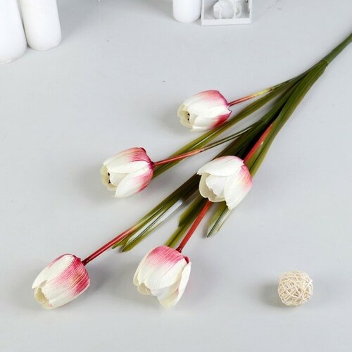 Цветы искусственные "Тюльпан Аморета" 4*90 см,( размер бутона 6х4см) белый с малиновым