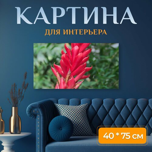 Картина на холсте "Цветок, ботанический сад, флора" на подрамнике 75х40 см. для интерьера