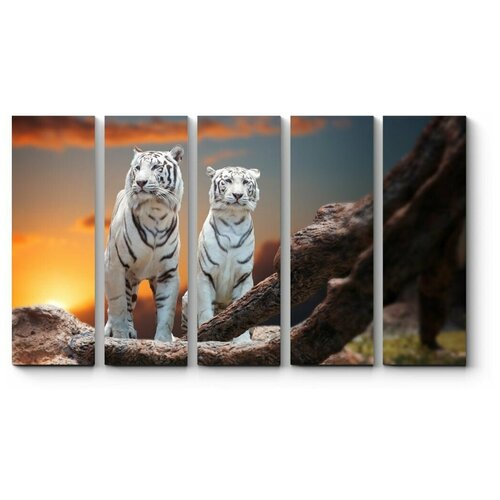 Модульная картина Два белых тигра на закате 180x108
