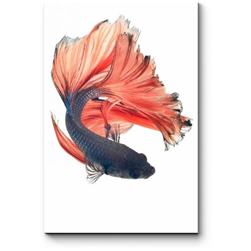 Модульная картина Роскошная рыба 110x165