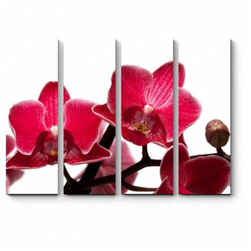 Модульная картина Магия орхидей 80x60