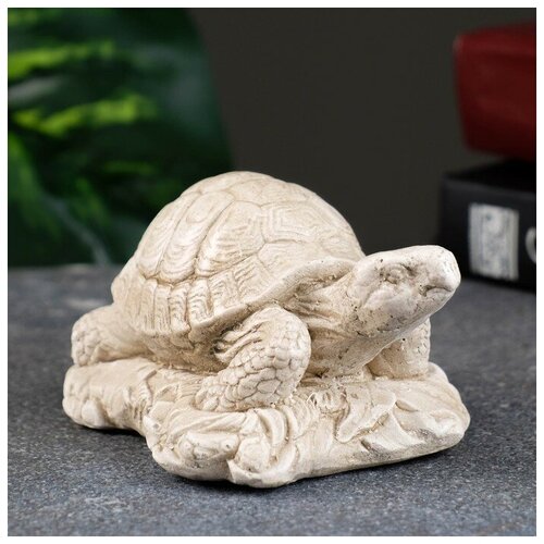 Хорошие сувениры Фигура "Черепаха на камне" слоновая кость, 8х7х6см
