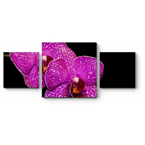 Модульная картина Тропическая орхидея 180x77
