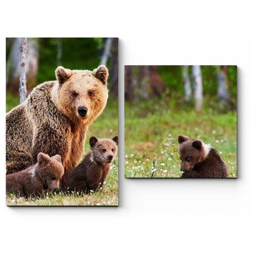 Модульная картина Семья очаровательных медведей 150x113