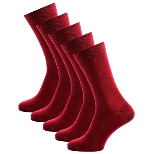 Носки Годовой запас носков, 5 пар, размер 23 (37-39), бордовый
