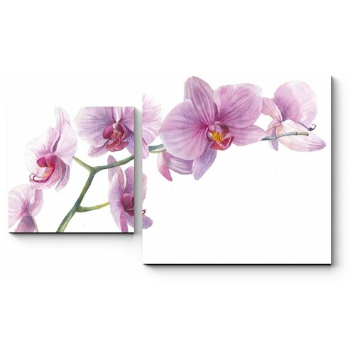 Модульная картина Ветка чудесной орхидеи 80x48