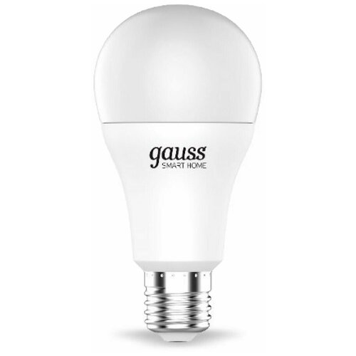 Комплект из 5 штук. Лампа светодиодная Gauss LED Elementary A67 25W E27 2150lm 6500K