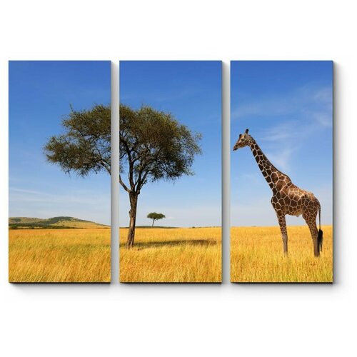 Модульная картина Одинокий африканский жираф 110x79