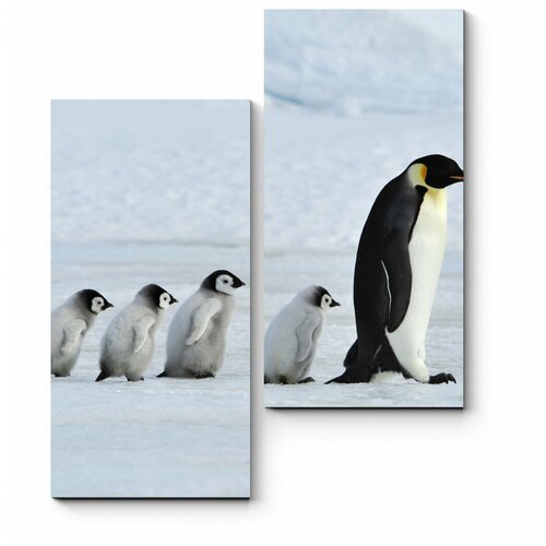 Модульная картина Семейство пингвинов на прогулке 40x50