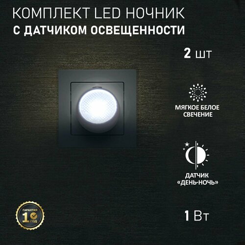 Комплект ночник PROconnect FIREFLY с датчиком освещенности для комнаты дома дачи офиса белый свет, 2 шт