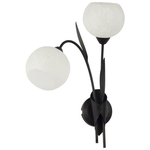 Настенный светильник Lussole Bagheria GRLSF-6291-02, E14, 12 Вт, кол-во ламп: 2 шт., цвет арматуры: коричневый