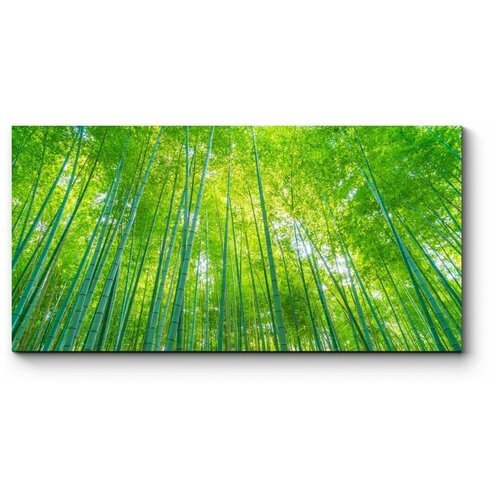Модульная картина Бамбуковый лес 70x35
