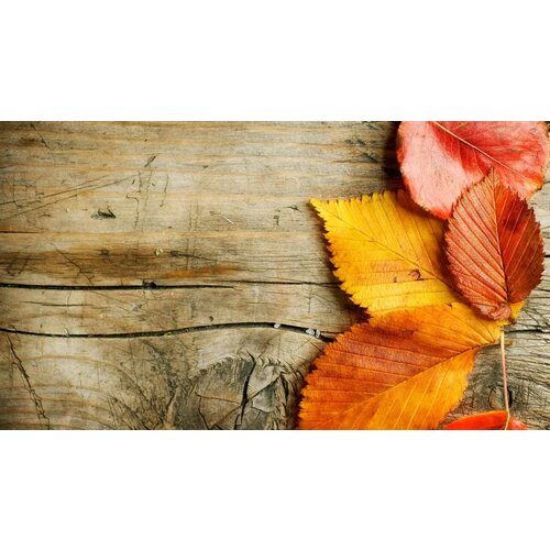 Картина на холсте 60x110 LinxOne "Природа листья осень доски" интерьерная для дома / на стену / на кухню / с подрамником