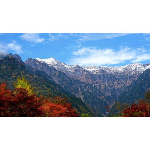 Картина на холсте 60x110 LinxOne "Япония Kasagatake Природа мха" интерьерная для дома / на стену / на кухню / с подрамником