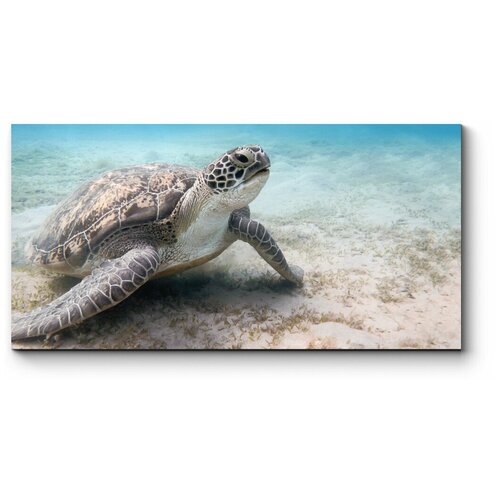 Модульная картина Чарующая подводная черепаха 100x50