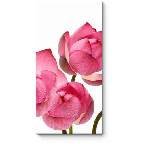 Модульная картина Розовая нежность70x140