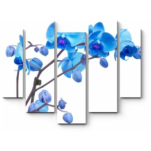 Модульная картина Орхидея небесного цвета111x90