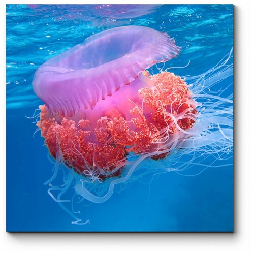 Модульная картина Розовая медуза под водой 20x20