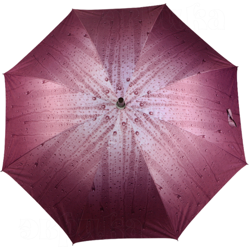 Зонт-трость ЭВРИКА подарки и удивительные вещи, полуавтомат, купол 100 см., 8 спиц, красный