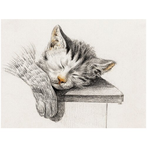 Постер / Плакат / Картина Спящий котенок 90х120 см в подарочном тубусе