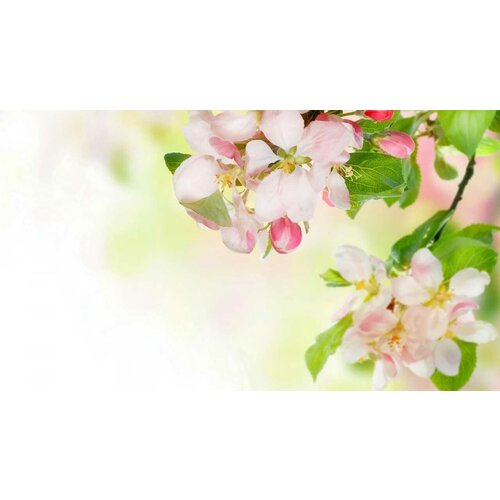Картина на холсте 60x110 LinxOne "Розовые цветы яблони на ветках" интерьерная для дома / на стену / на кухню / с подрамником