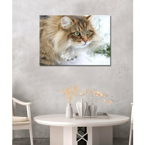 Картина - кошка, сибирская кошка, домашняя кошка, ласковая кошка, полудлинношёрстная кошка, кот (113) 20х30
