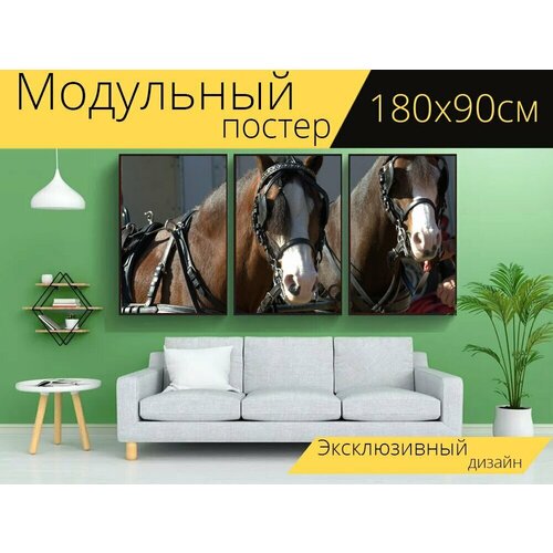 Модульный постер "Лошади, лошадь, лошадиная голова" 180 x 90 см. для интерьера