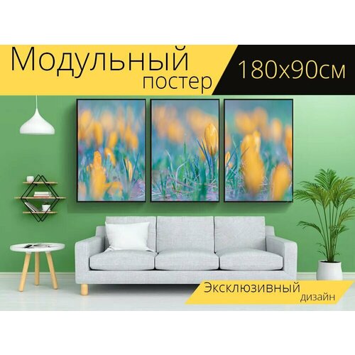 Модульный постер "Крокусы, крокус, цветок" 180 x 90 см. для интерьера