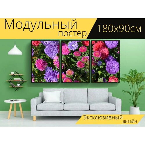 Модульный постер "Астры, цветы, астра" 180 x 90 см. для интерьера