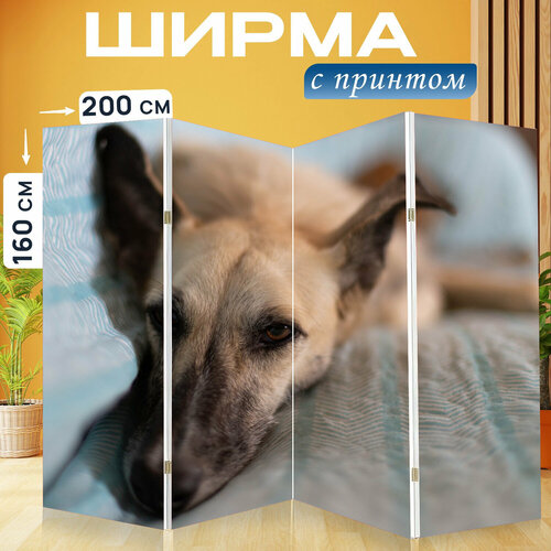 Ширма перегородка с принтом "Собака, диван, белый" на холсте - 200x160 см. для зонирования, раскладная