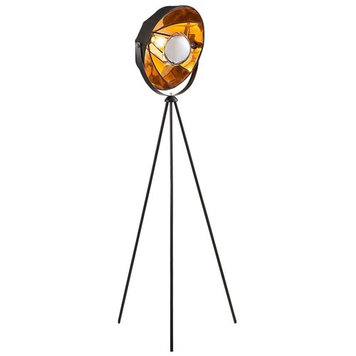 Напольный светильник Lussole Klamath GRLSP-0556, E27, 10 Вт, высота: 160 см, черный