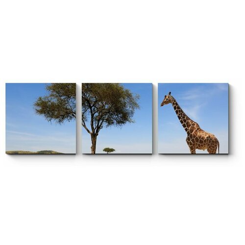 Модульная картина Одинокий африканский жираф 150x50